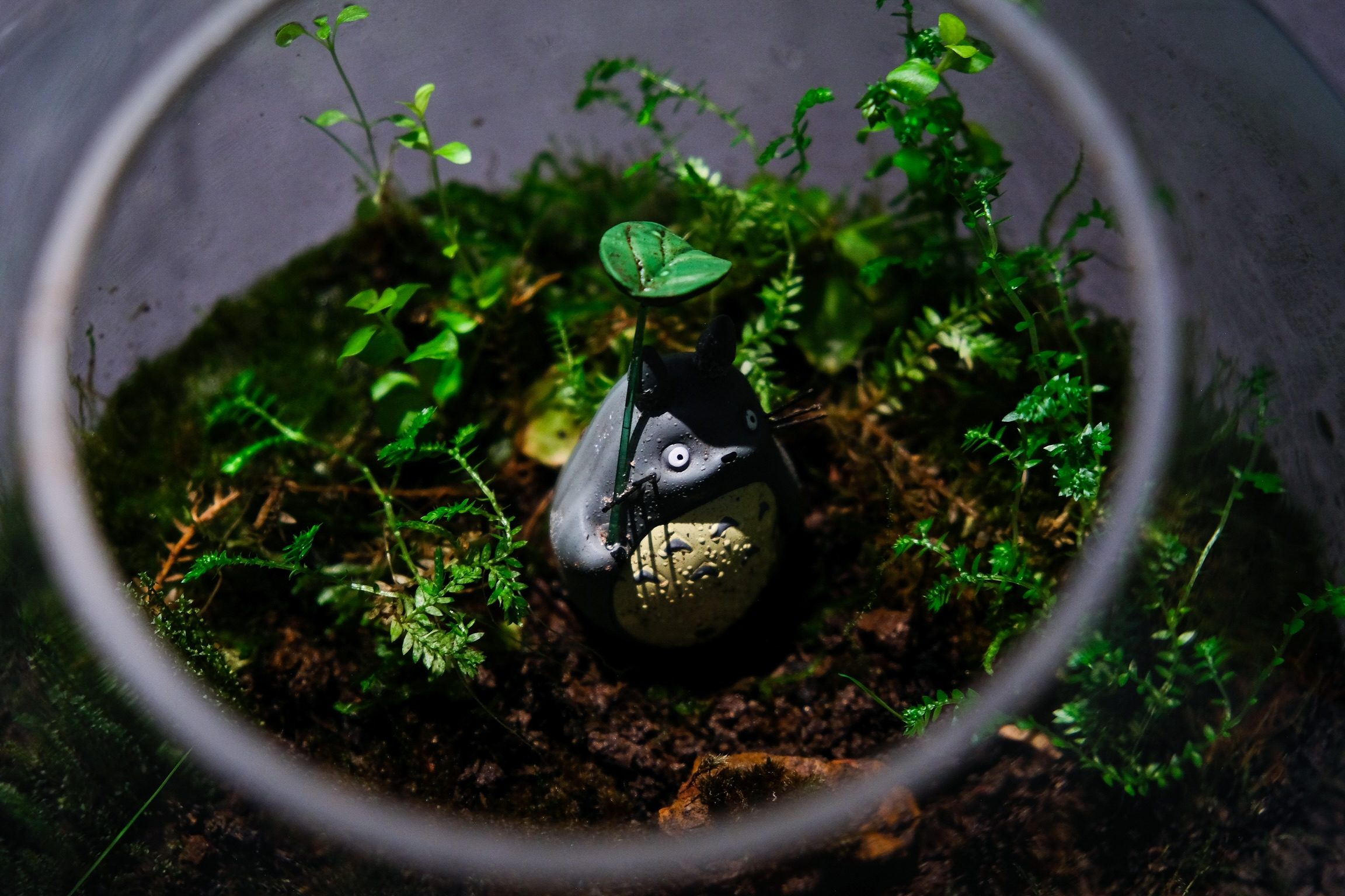 Cole Berman - Artist on PortraitMode - Share Your Street Photography