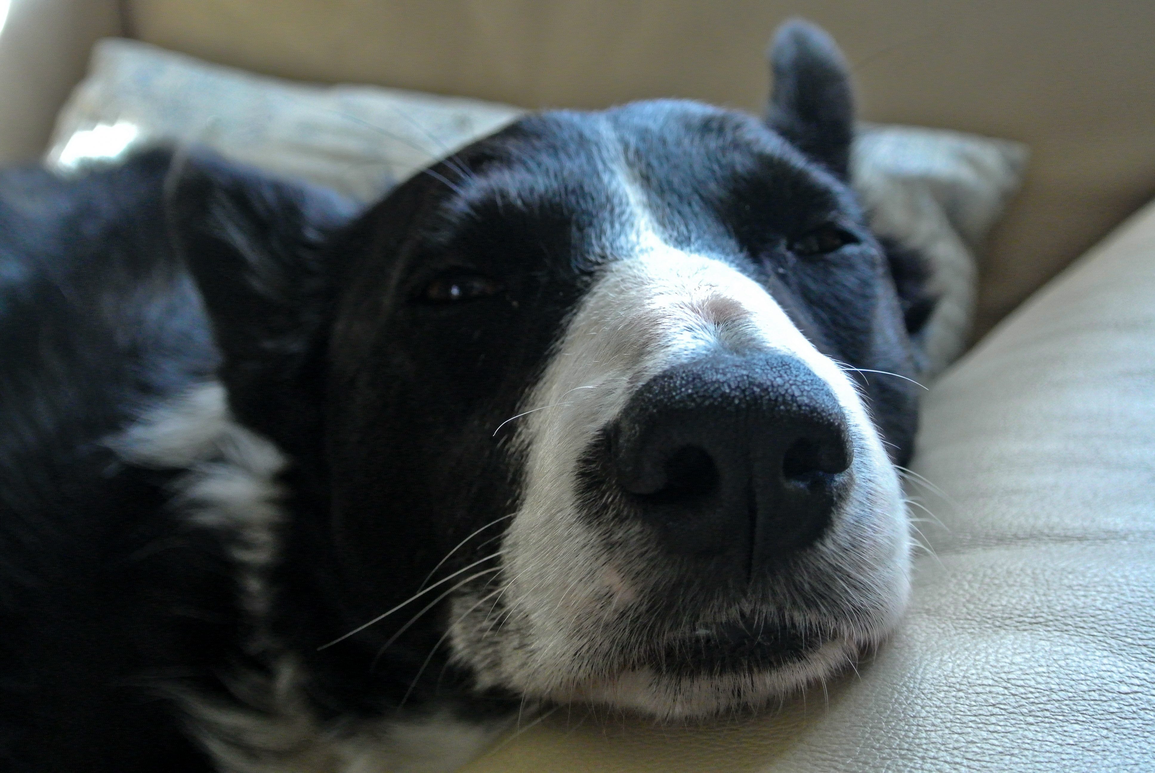 Peter Heasman - Artist on PortraitMode - Share Your Street Photography